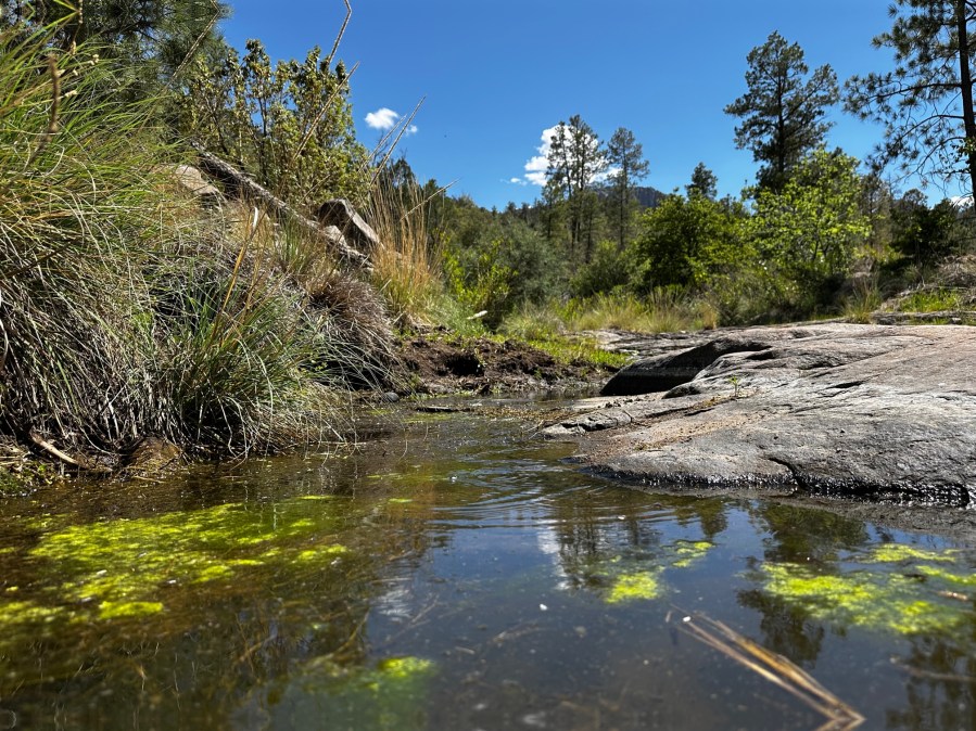 Stunning Snapshots of Davis Mountains Preserve Unveiled: Next Open ...