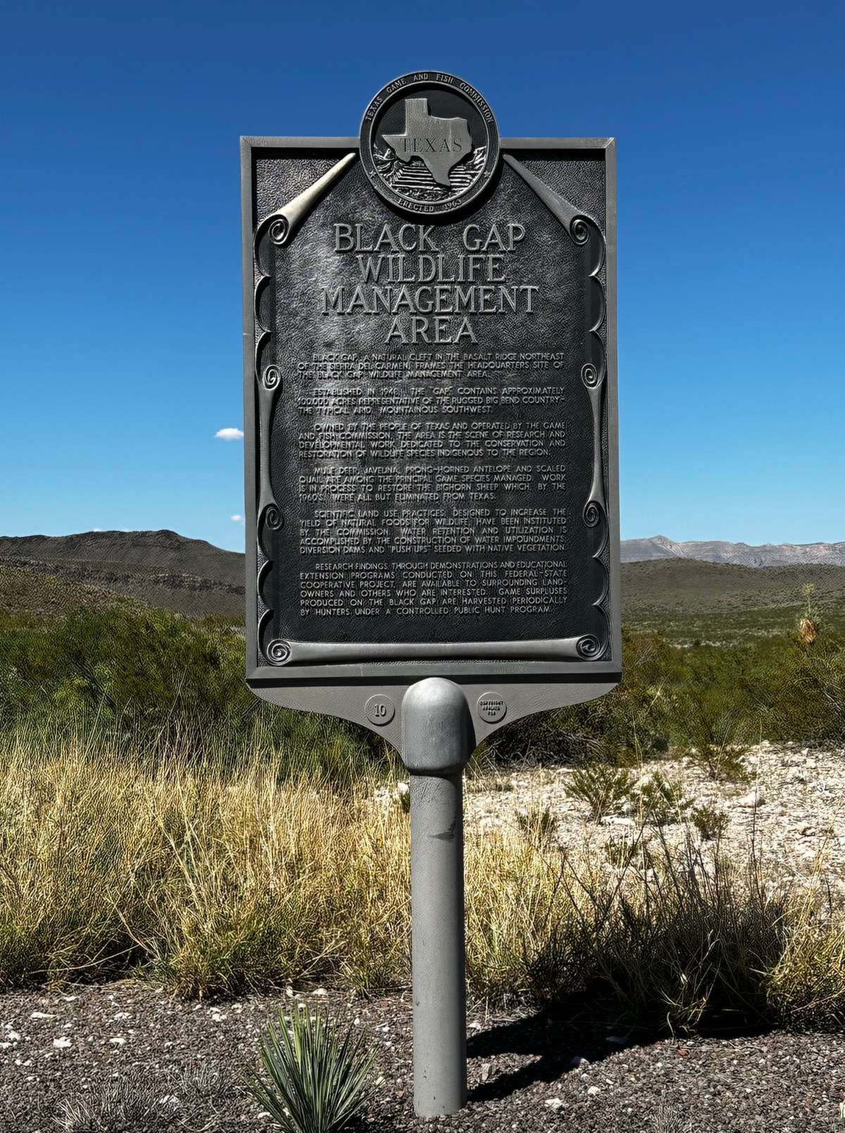 Conservation in Action: The Resurgence of Black Gap Wildlife Management ...