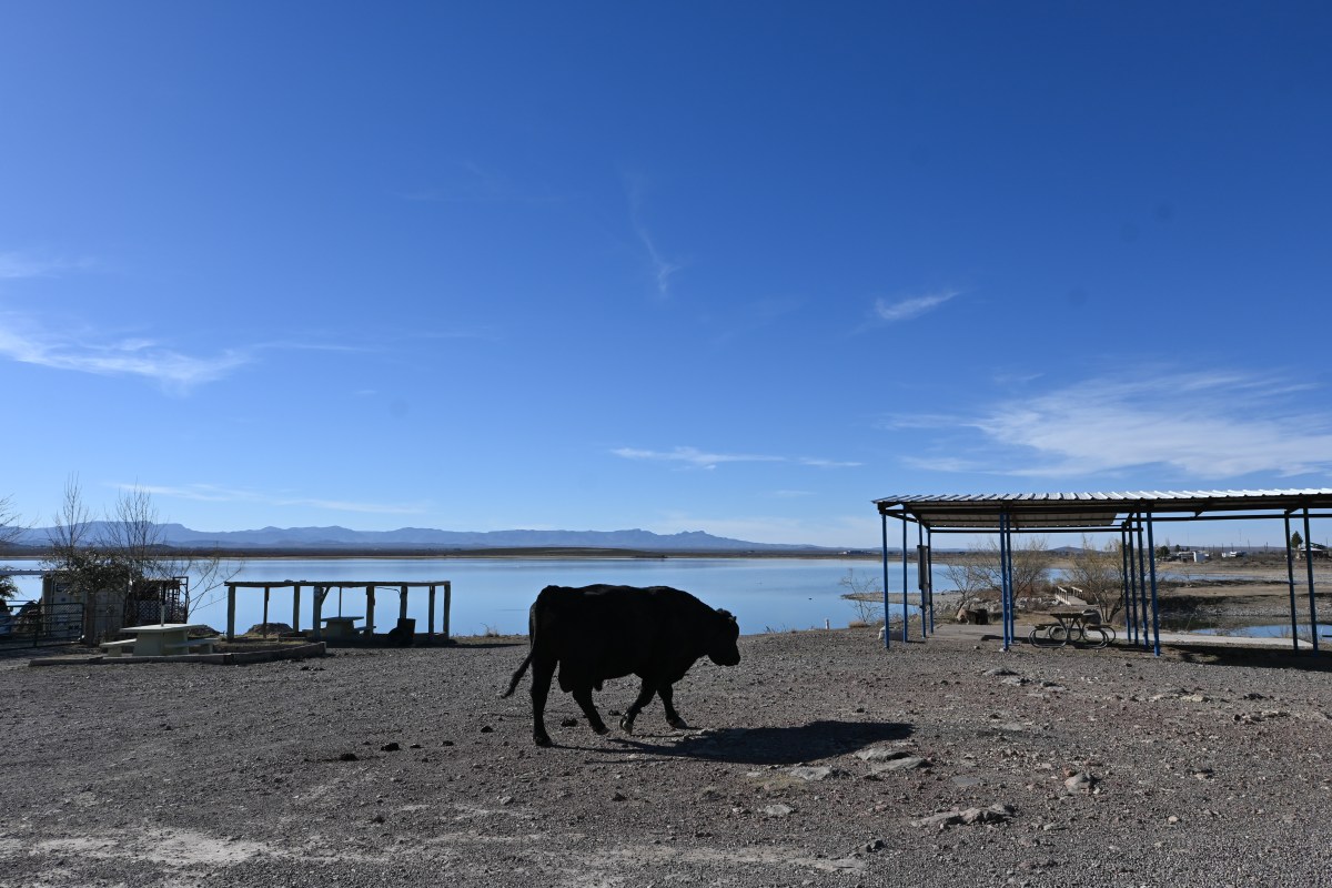 Balmorhea Lake: A Thriving Oasis in West Texas Draws Anglers and ...