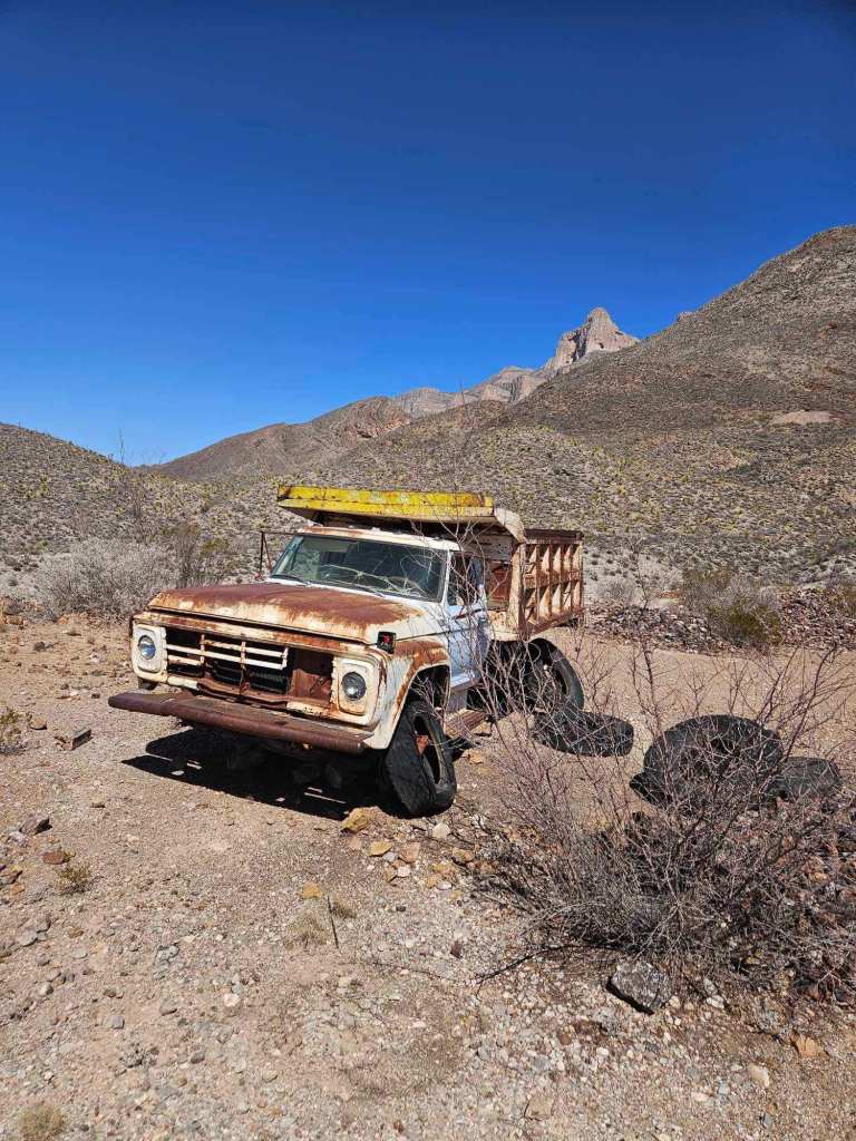 Embark on a Historic Horseback Journey to the Mines of Puerto Rico with ...